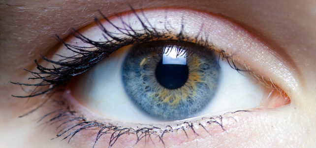 Les maladies prédisposant au glaucome néovasculaire